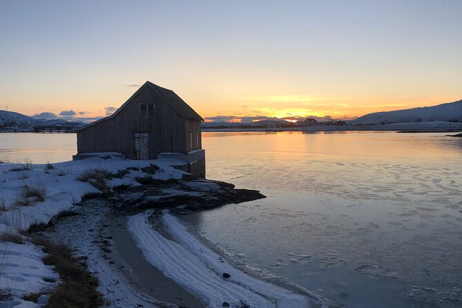 Tromsø: Fjords Tour With Campfire and Photos - Choosing the Right Gear for the Adventure