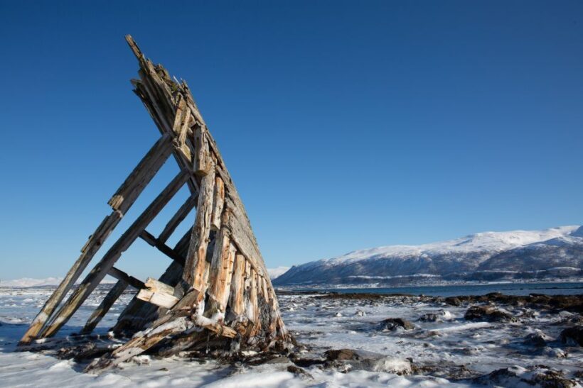 Tromso: Guided Fjord Expedition in Kvaløya with Light Lunch - Who Is This Tour Best For?