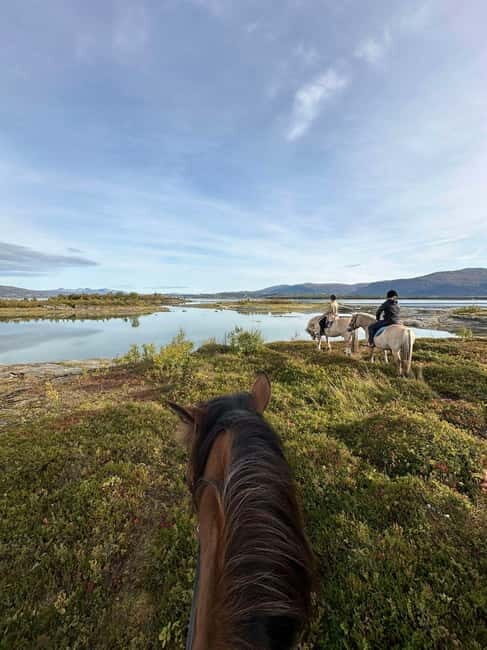 Tromsø: Horseback Riding Tour - An In-Depth Look at the Horseback Riding Tour