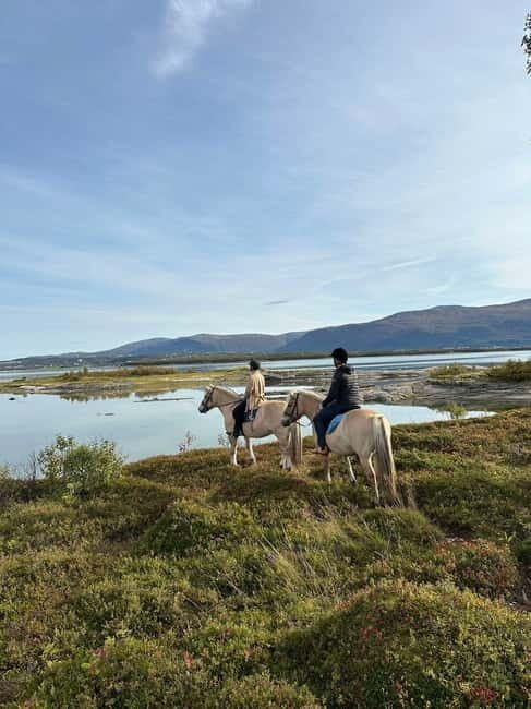 Tromsø: Horseback Riding Tour - The Sum Up: Who Should Book This Tour?