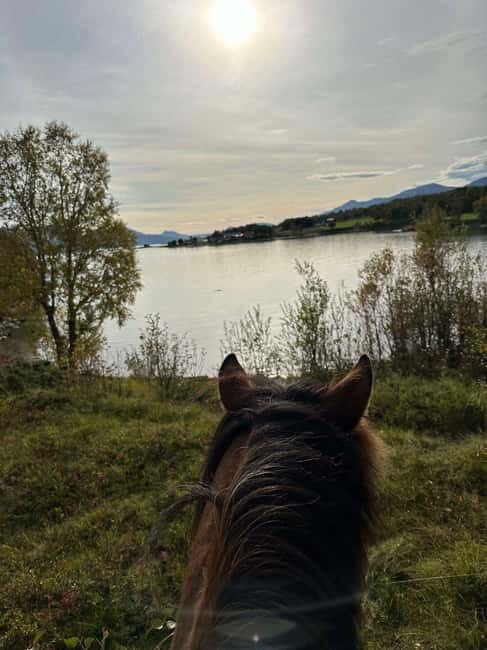 Tromsø: Horseback Riding Tour - FAQ