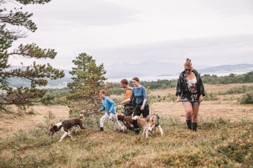 Tromsø: Husky Hike and Puppy Visit with Traditional Lunch - Practical Information