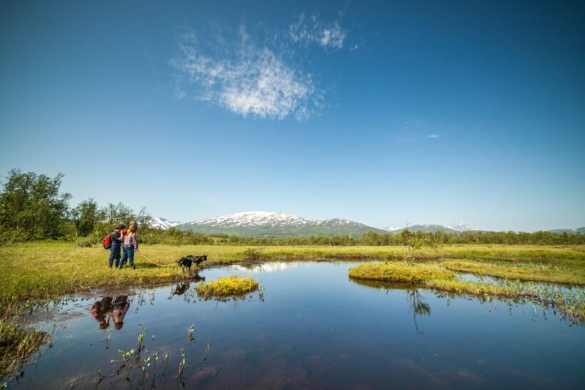 Tromsø: Husky Hike and Puppy Visit with Traditional Lunch - FAQ