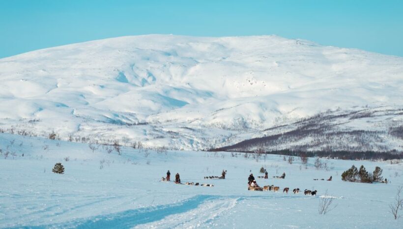 Tromsø: Husky Sled Self-Drive with Traditional Lunch - Key Points