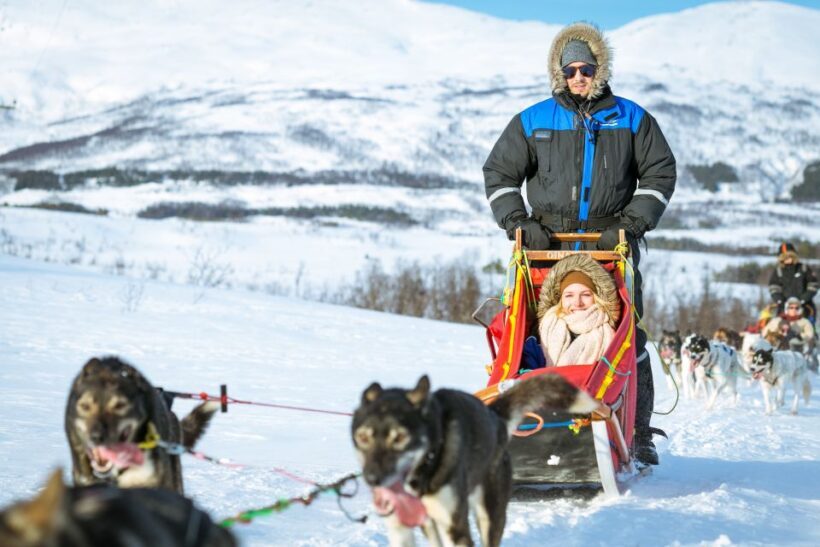 Tromsø: Husky Sled Self-Drive with Traditional Lunch - The Sum Up
