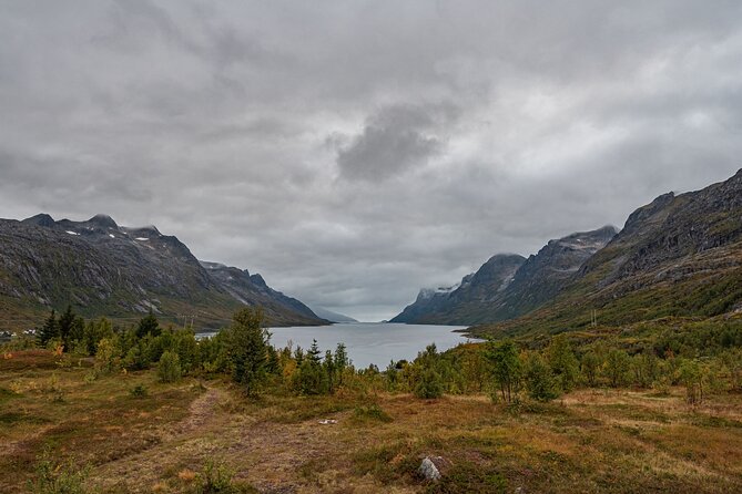Tromsø: Kvaløya & Sommarøy Guided Tour - Final Thoughts: Who Will Love This Tour?