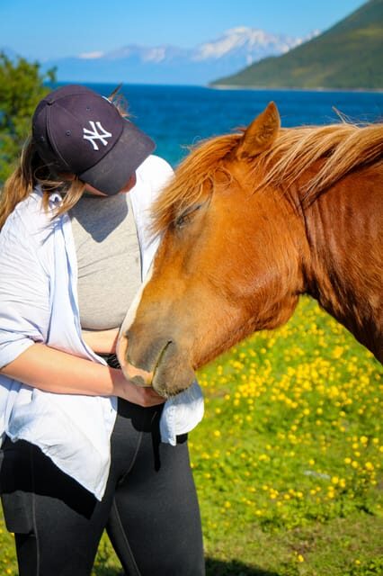Tromsø: Lyngen Horse Summer Evening Riding Experience - An Introduction to the Experience