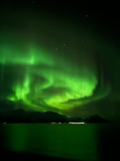 Tromsø: Lyngen Horse Winter Evening Riding Experience - The Overall Experience: Who Will Love It?