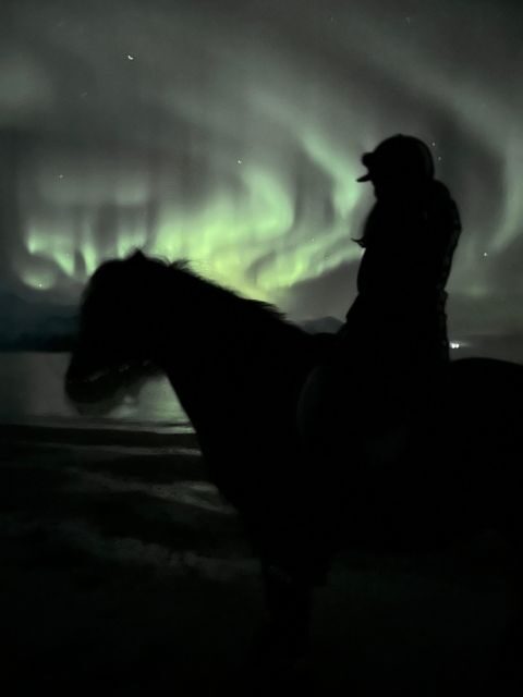 Tromsø: Lyngen Horse Winter Evening Riding Experience - FAQ