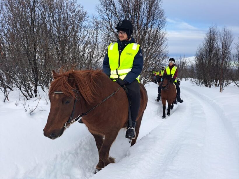 Tromsø: Lyngen Horse Winter Riding Experience - Key Points