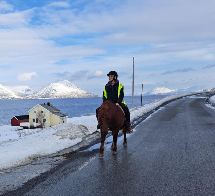 Tromsø: Lyngen Horse Winter Riding Experience - Introduction to the Experience