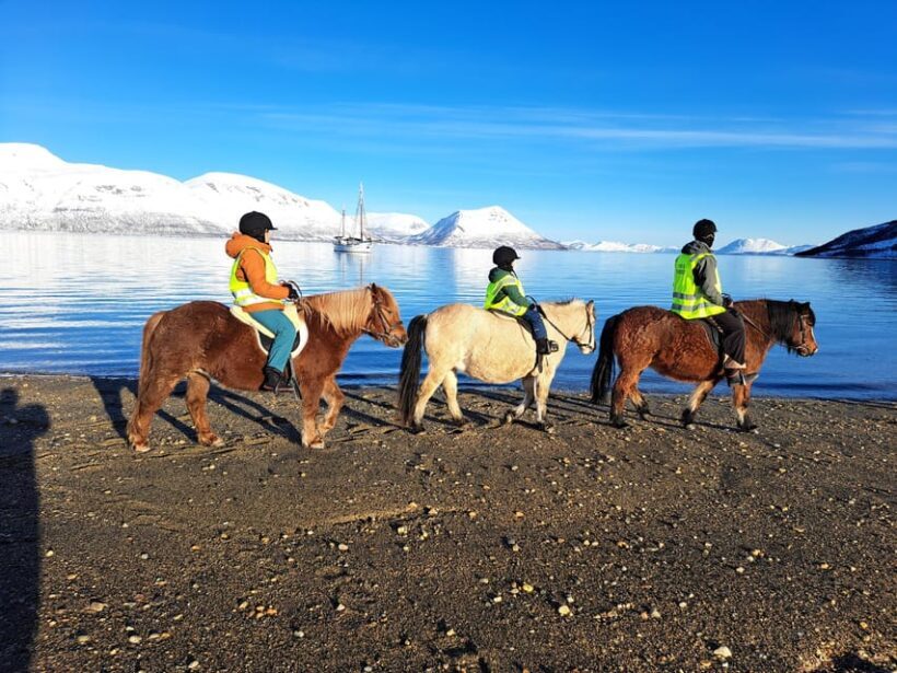 Tromsø: Lyngen Horse Winter Riding Experience - The Itinerary Breakdown