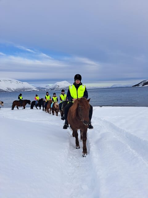 Tromsø: Lyngen Horse Winter Riding Experience - Trip Details and Practicalities