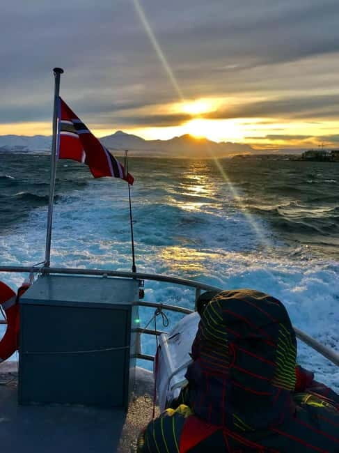 Tromsø: Midnight Sightseeing Cruise All-inclusive - What Makes This Cruise Special?