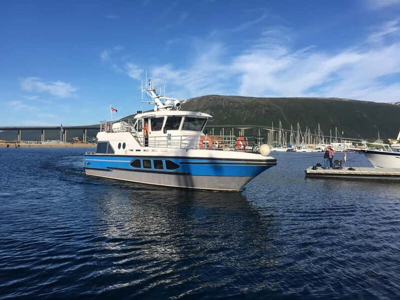 Tromsø: Midnight Sightseeing Cruise All-inclusive - Comfort and Convenience