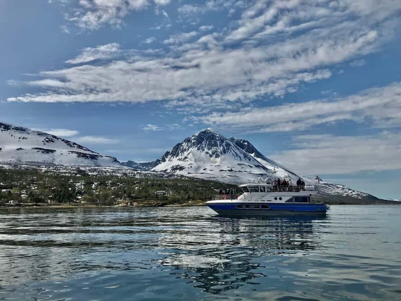 Tromsø: Midnight Sightseeing Cruise All-inclusive - The Sum Up: Who Should Book This Tour?