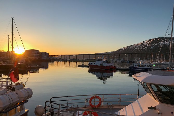 Tromsø: Midnight Sightseeing Cruise All-Inclusive - The Value of This Experience