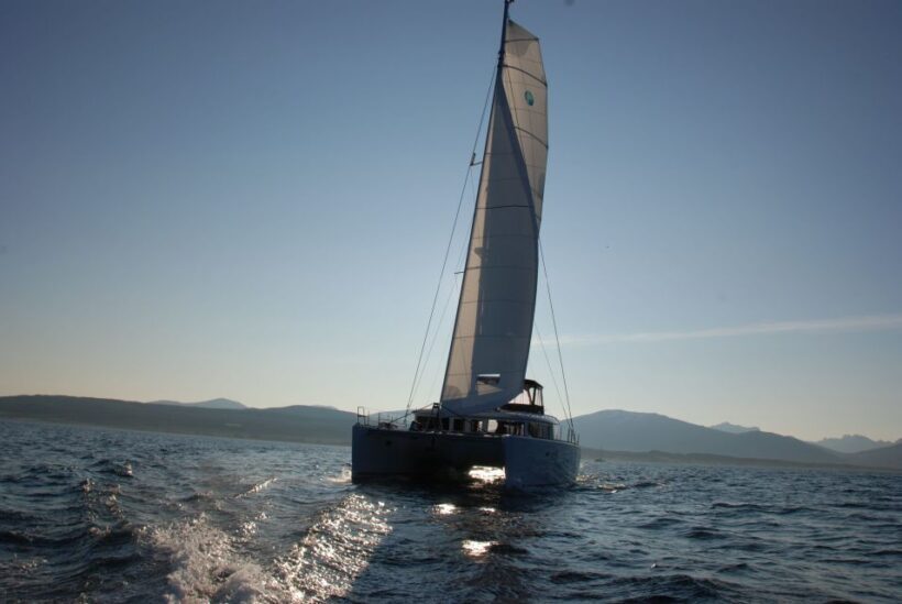 Tromsø: Midnight Sun Cruise in a Luxury Catamaran - An Introduction to the Experience