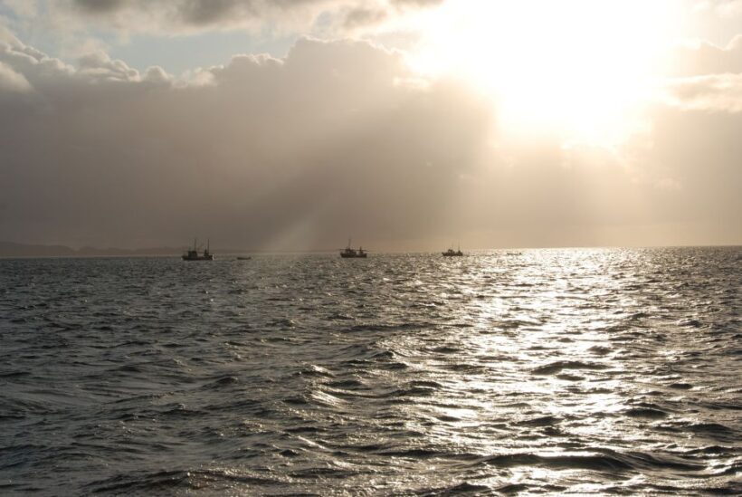 Tromsø: Midnight Sun Cruise in a Luxury Catamaran - What Makes This Cruise a Great Value?