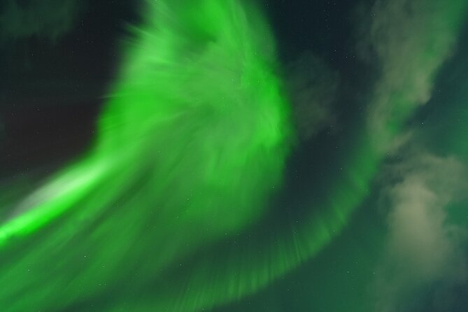 Tromsø: Northern Light Tour With Free Complimentary Photos. - Meeting and Pickup