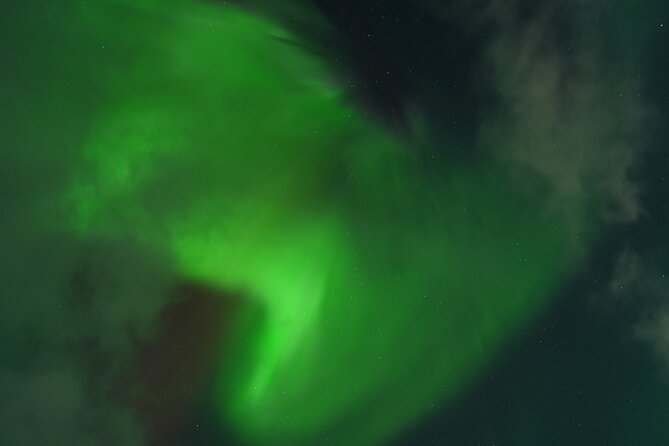 Tromsø: Northern Light Tour With Free Complimentary Photos. - Additional Information