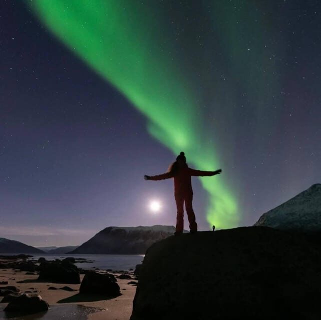 Tromsø: Northern Lights Chase by a comfortable bus - What to Expect During Your Northern Lights Chase