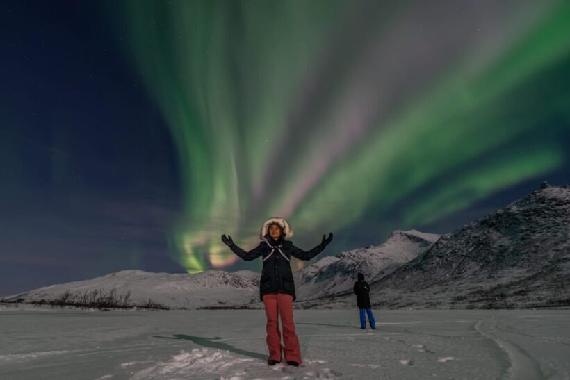 Tromsø: Northern Lights Chase by a comfortable bus - Was the Price Worth It?