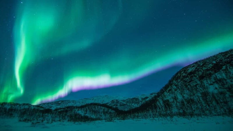 Tromsø: Northern Lights Chase + Free Professional Photos - What the Reviews Say