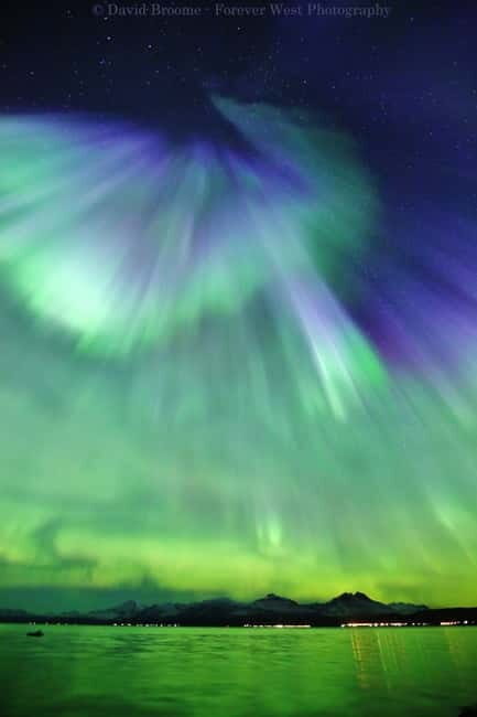 Tromsø: Northern Lights Chase + Free Professional Photos - Practical Considerations