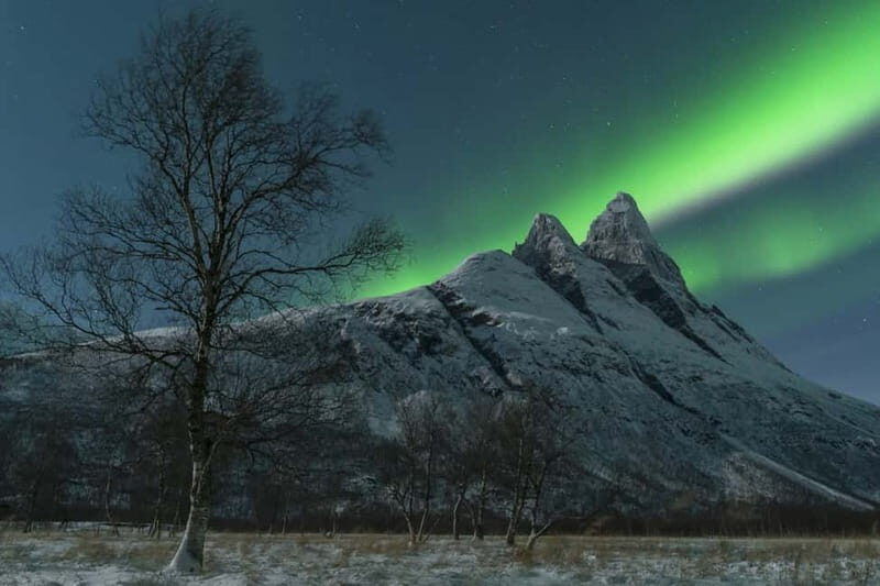 Tromsø: Northern Lights Chase + Free Professional Photos - The Experience of the Arctic Night