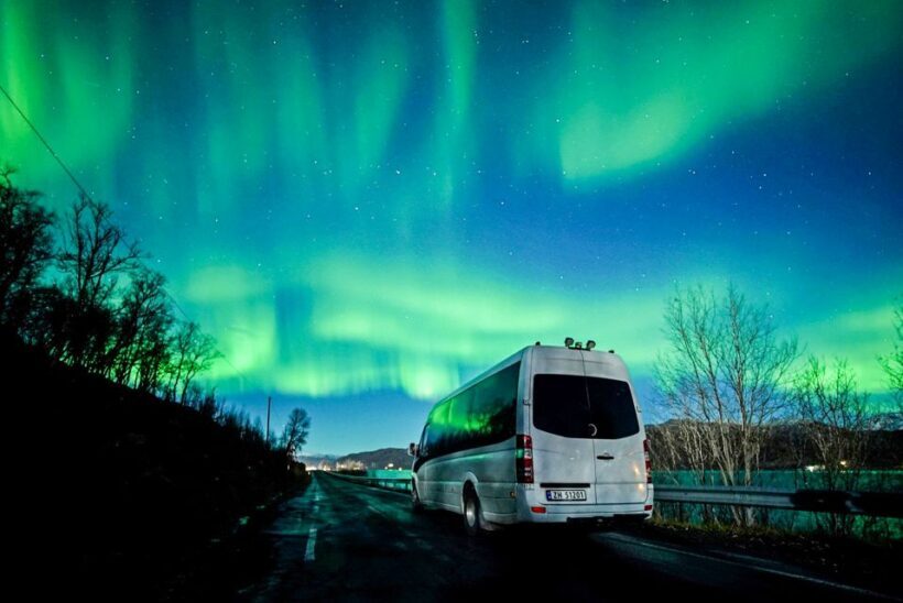 Tromsø: Northern Lights Chase Minibus Tour - The Itinerary in Detail