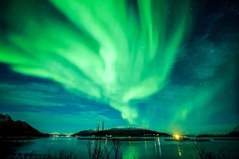 Tromsø: Northern Lights Chase Minibus Tour - FAQs