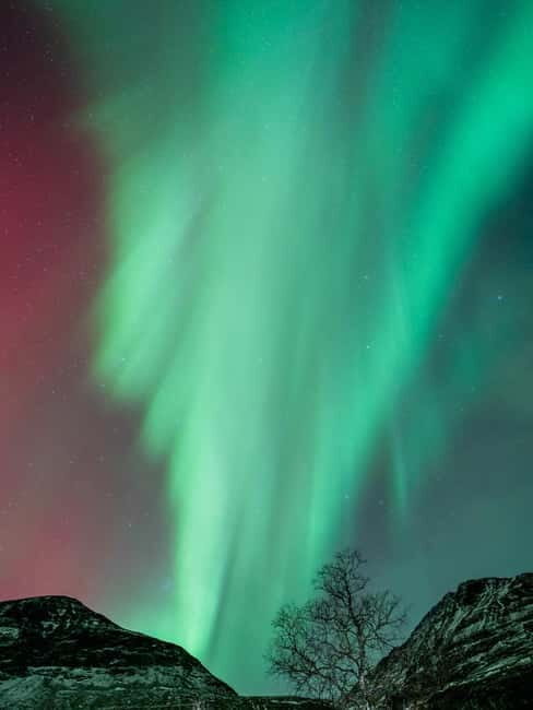 Tromsø: Northern Lights Focus Tour, German/English, minibus, meal - Practical Details & Tips