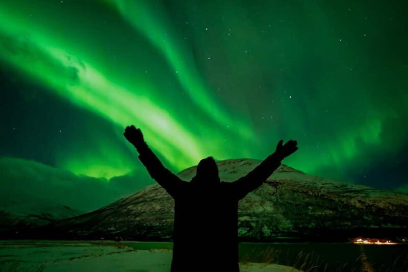 Tromsø: Northern Lights Focus Tour, German/English, minibus, meal - Final Thoughts