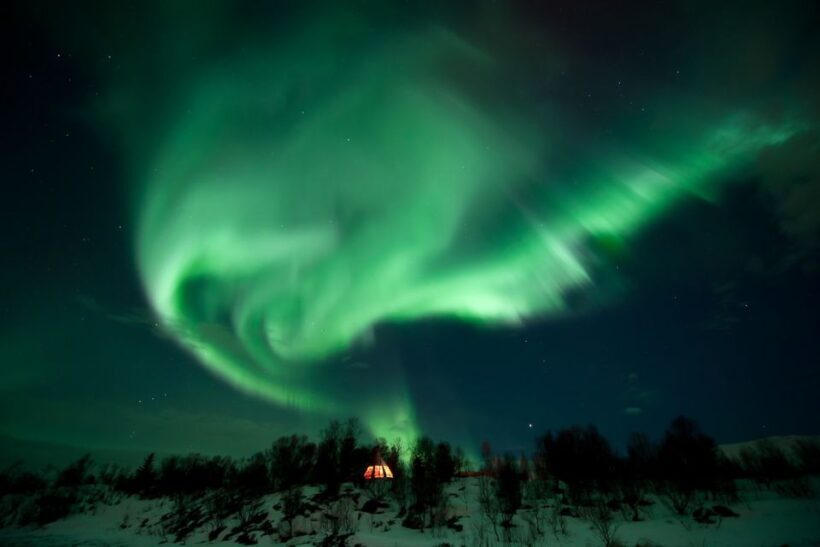 Tromsø: Northern Lights Husky Visit with Traditional Dinner - Final Thoughts