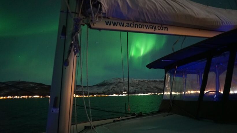 Tromsø: Northern Lights Luxury Catamaran Cruise - Key Points