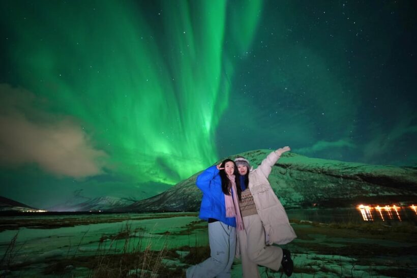 Tromso: Northern Lights Minibus Tour with Campfire - Key Points