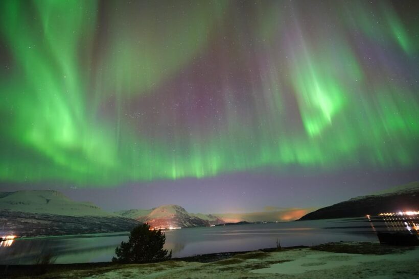 Tromso: Northern Lights Minibus Tour with Campfire - The Experience: A Night That Could Be Legendary