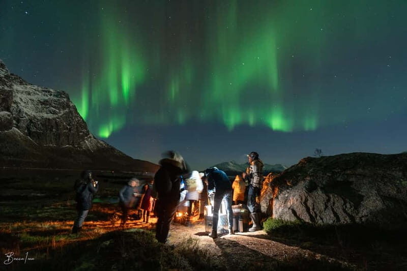 Tromsø: Northern Lights Safari - Key Points