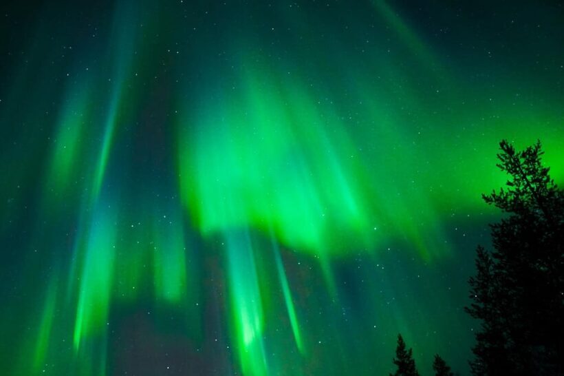 Tromsø: Northern Lights Tour with Guaranteed Sightings - An Inside Look at the Tromsø Northern Lights Tour