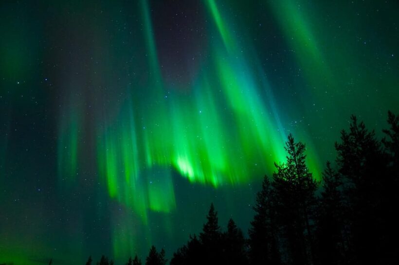 Tromsø: Northern Lights Tour with Guaranteed Sightings - The Sum Up