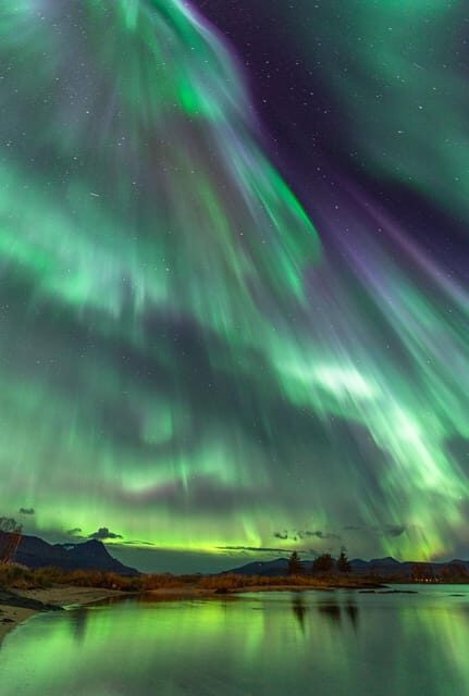 Tromsø: Northern Lights Tour with Local Guide and Photos - The Experience: What You Can Expect