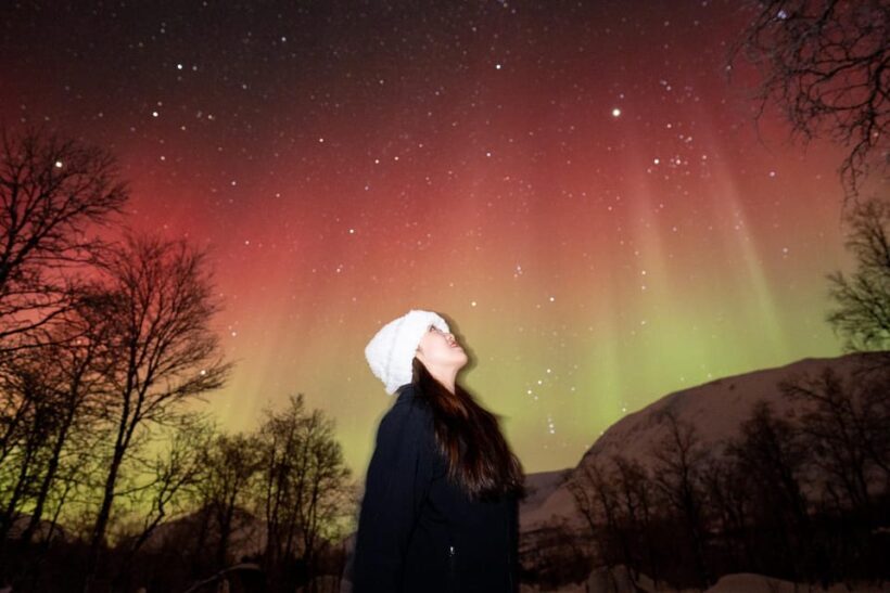 Tromsø: Northern Lights Tour with Local Guide and Photos - Practical Tips for the Tour
