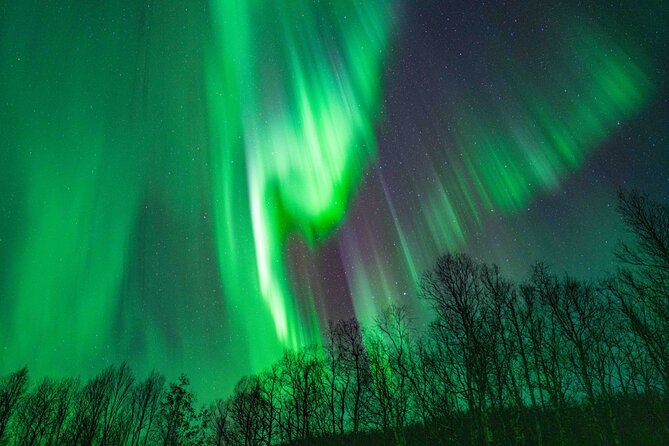 Tromsø Northern Lights with Campfire and Professional Photos - FAQ