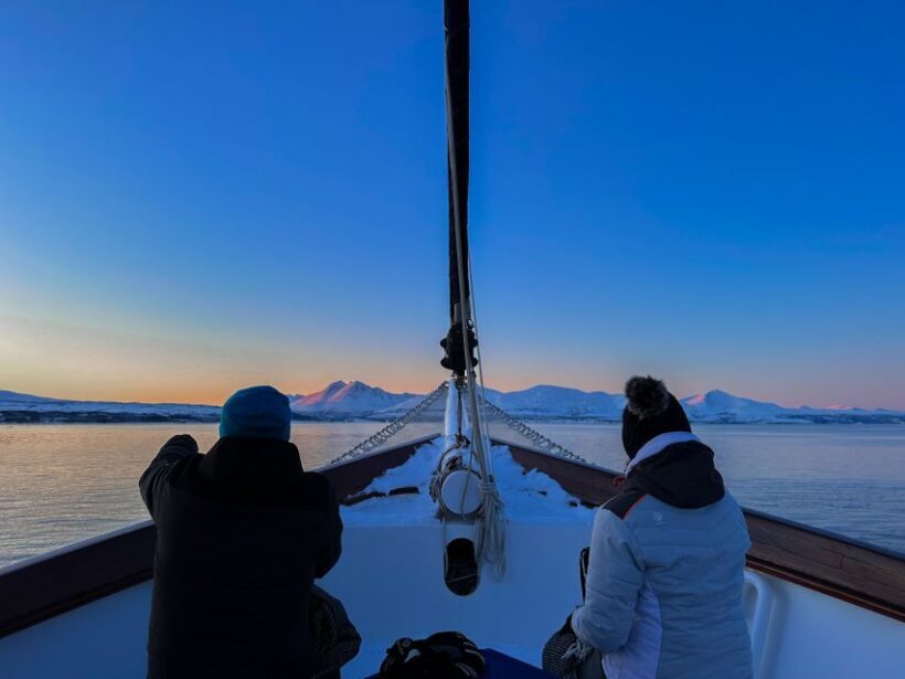 Tromsø: Polar Fjord Cruise on a Luxury Yacht with Lunch - Scenic Highlights and Wildlife