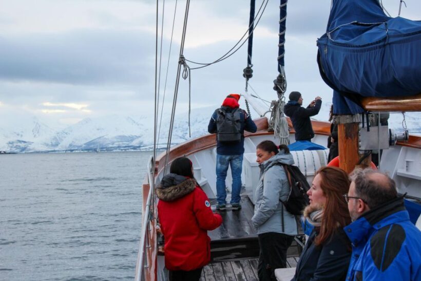 Tromsø: Polar Fjord Cruise on a Luxury Yacht with Lunch - The Value and Price Consideration