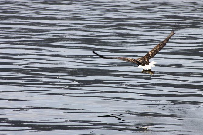 Tromsø: Polar Fjord & Fishing Cruise with Lunch included - Authentic Facial Experiences Highlighted by Reviews