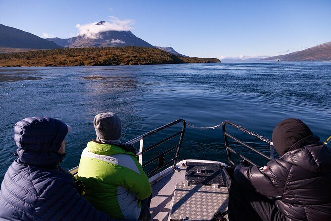 Tromsø: Polar Fjord & Fishing Cruise with Lunch included - Practical Tips for Travelers