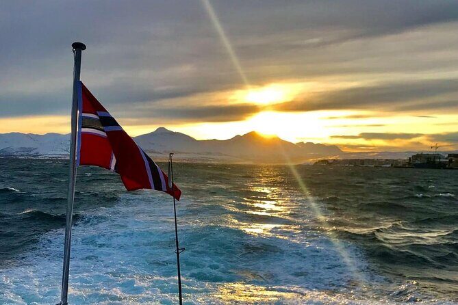 Tromsø: Polar Fjord & Fishing Cruise with Lunch included - Who Should Consider This Tour?