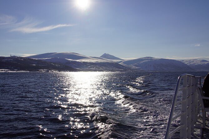 Tromsø: Polar Fjord & Fishing Cruise with Lunch included - Final Thoughts